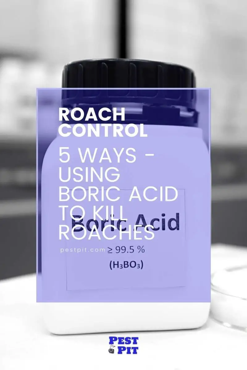 5 Ways - Using Boric Acid To Kill Roaches - Pest Pit