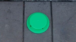 How To Stop Ants From Coming Through The Window - Pest Pit