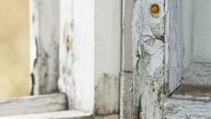 How Do Spiders Get In Your House? 8 Spider Entry Points - Pest Pit