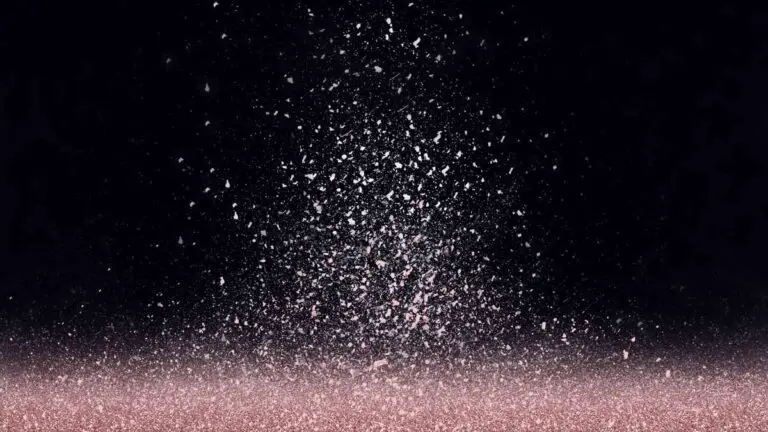 5 Surefire Ways To Get Rid Of Cockroaches In Your Apartment - Pest Pit