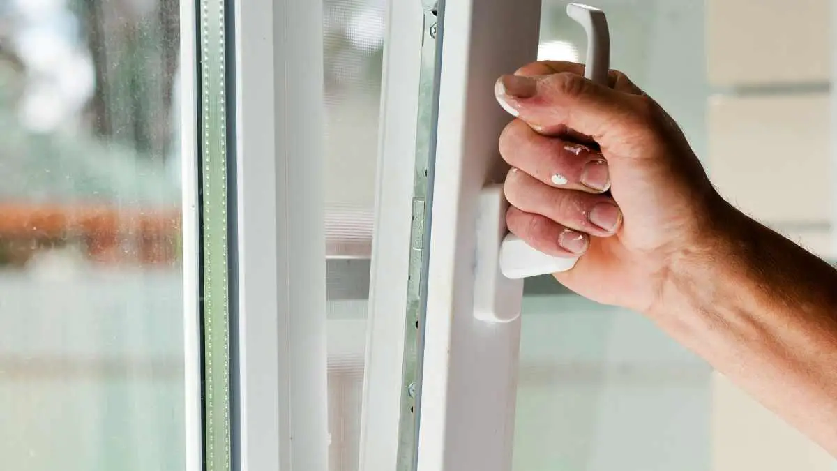 Gnat Entry Points - 5 Ways Gnats Get Into Homes - Pest Pit