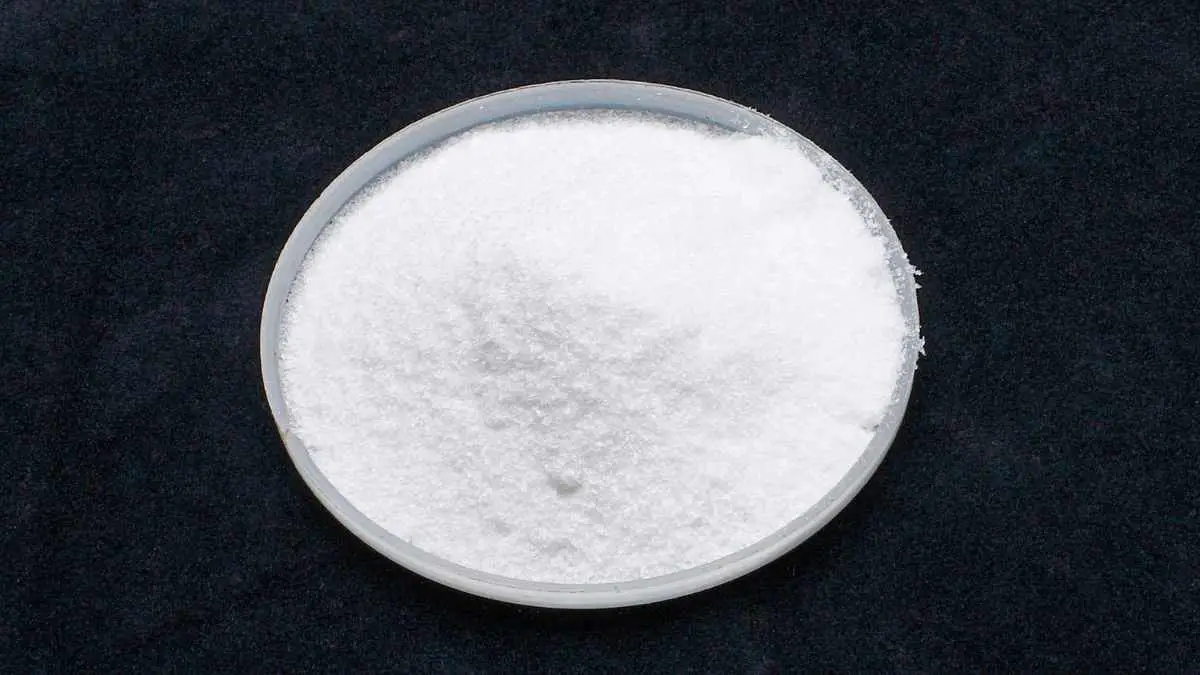 A Guide For Killing Ants With Borax And Honey - Pest Pit