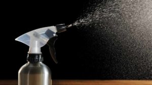 Top Reasons Why You Have Maggots in Your House - Pest Pit