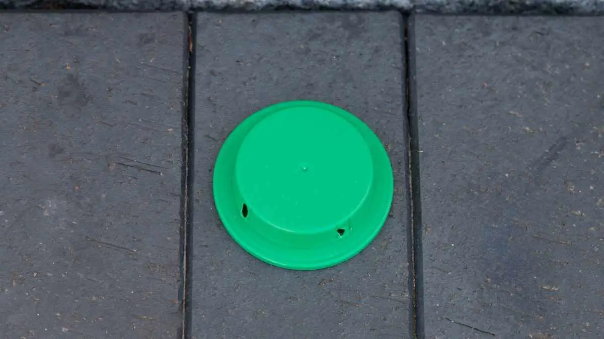 Are Ants Coming Out of Your sink? Here's What You Need to Know About ...