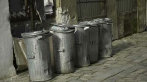 How To Get Rid Of Flies In Your Trash Can - Pest Control