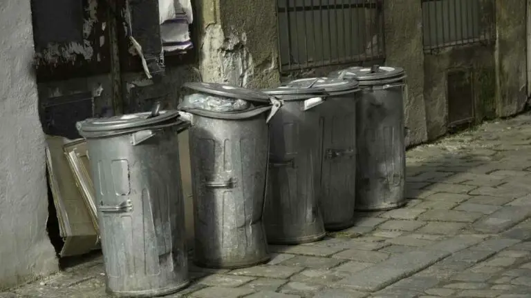 How To Get Rid Of Flies In Your Trash Can - Pest Control