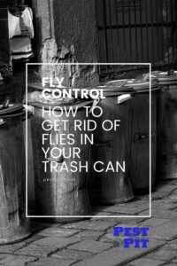 How To Get Rid Of Flies In Your Trash Can - Pest Pit
