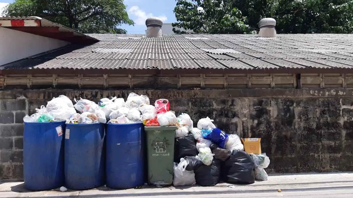 How to Get Rid of Ants in the Trash: Our Complete Guide - Pest Pit