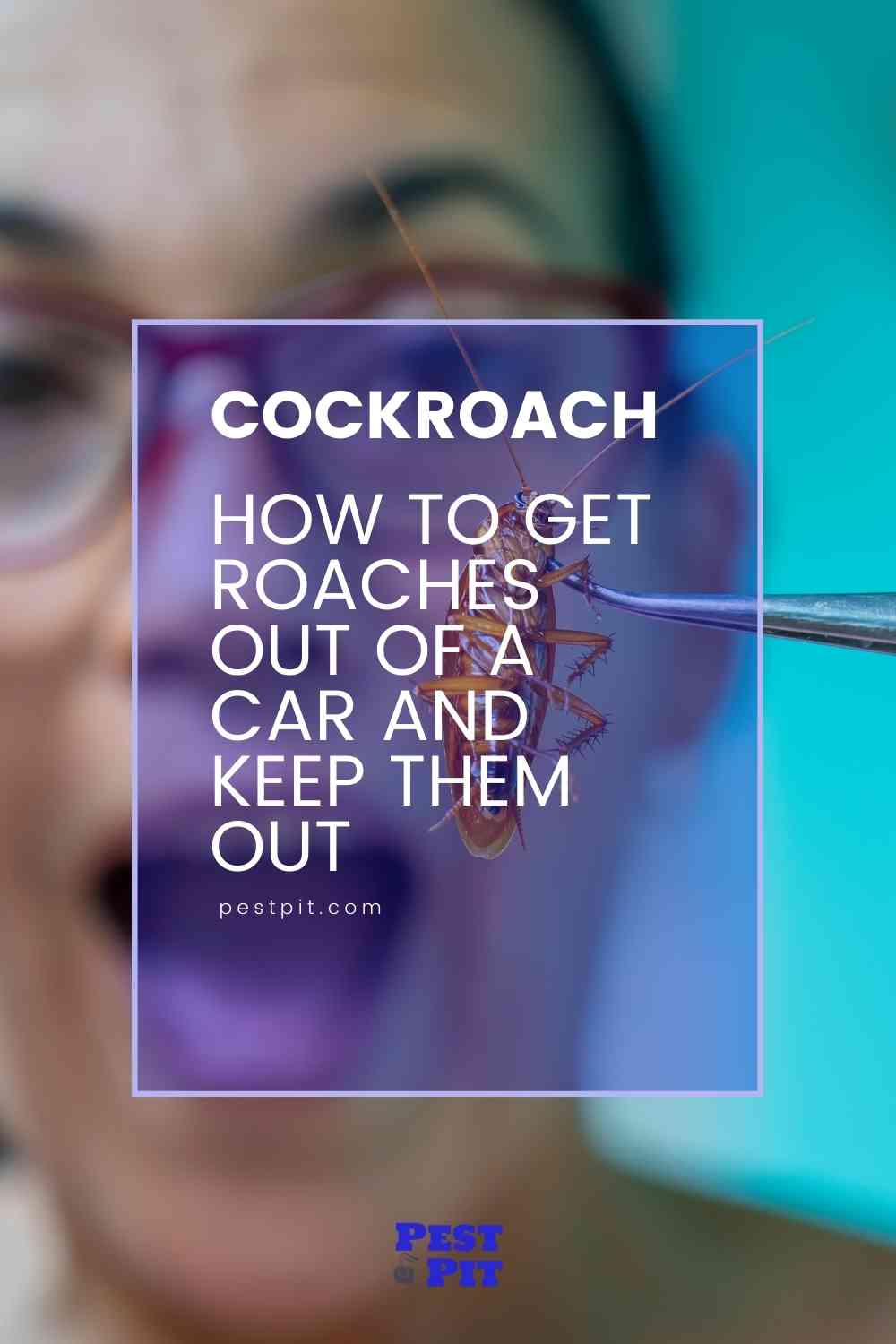 How To Get Roaches Out Of A Car And Keep Them Out - Pest Pit
