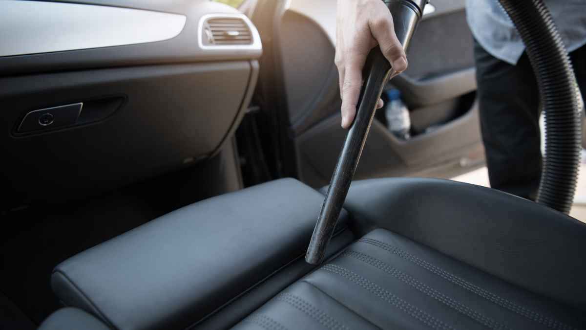 How to Get Rid of German Cockroaches In a Car - Pest Pit